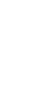 Elite Cricket Academy